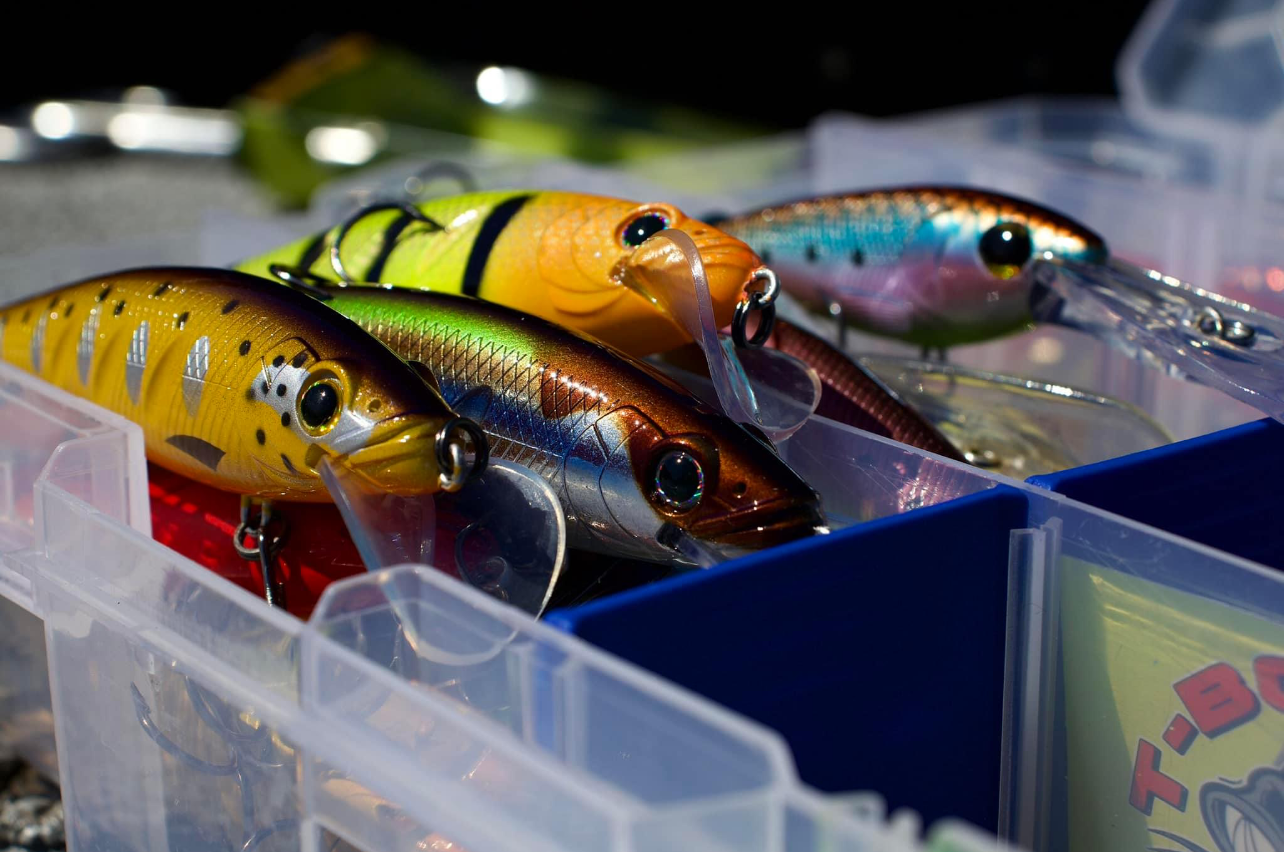 Contact – Bait Rigs